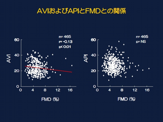池田先生講演_AVIとAPI of SHISEI